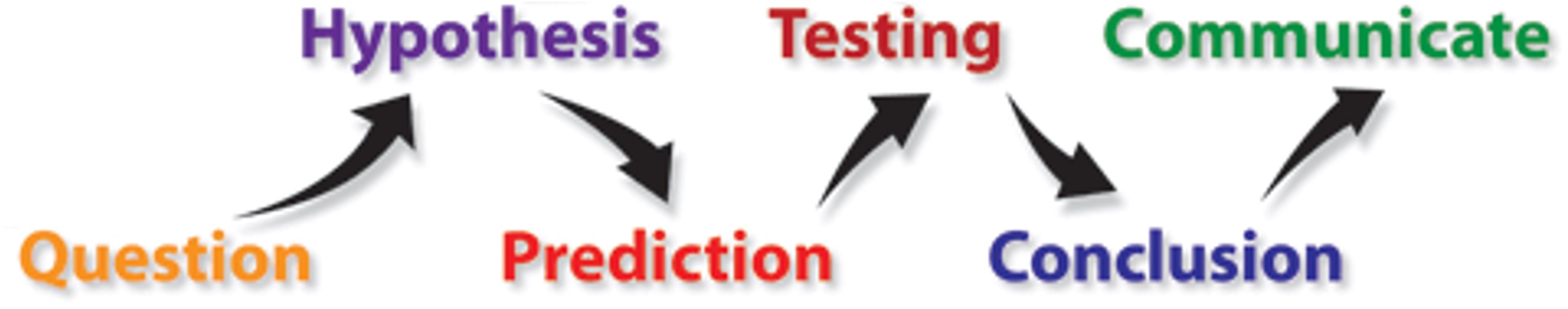 BIOL 211 Lab Introduction • biol211